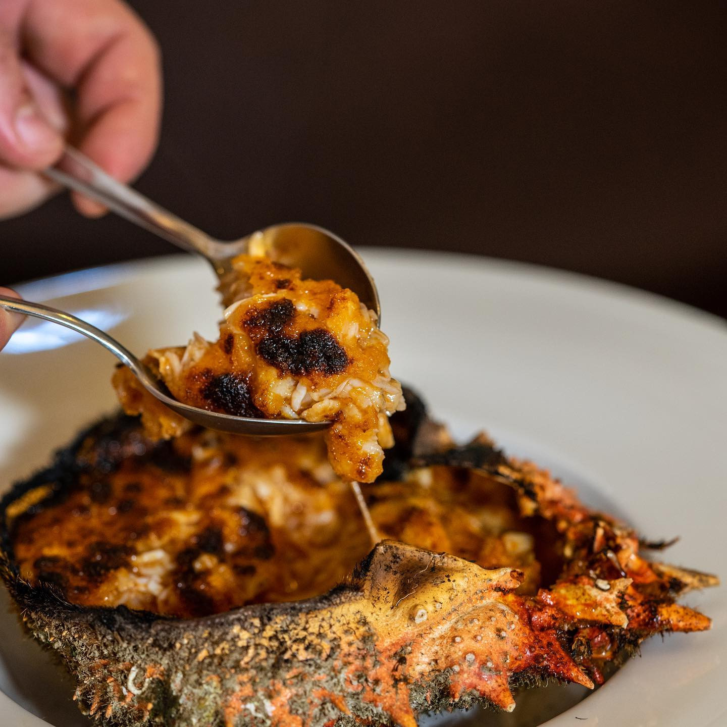 El Vaskito | Macarfi