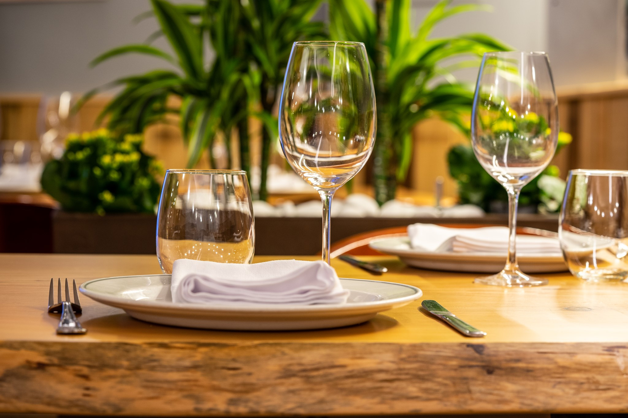 El Vaskito | Macarfi