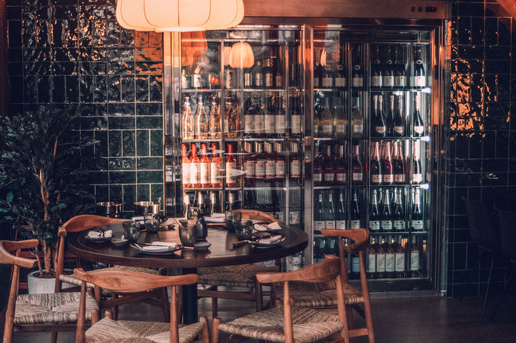 Nikko Sushi | Macarfi