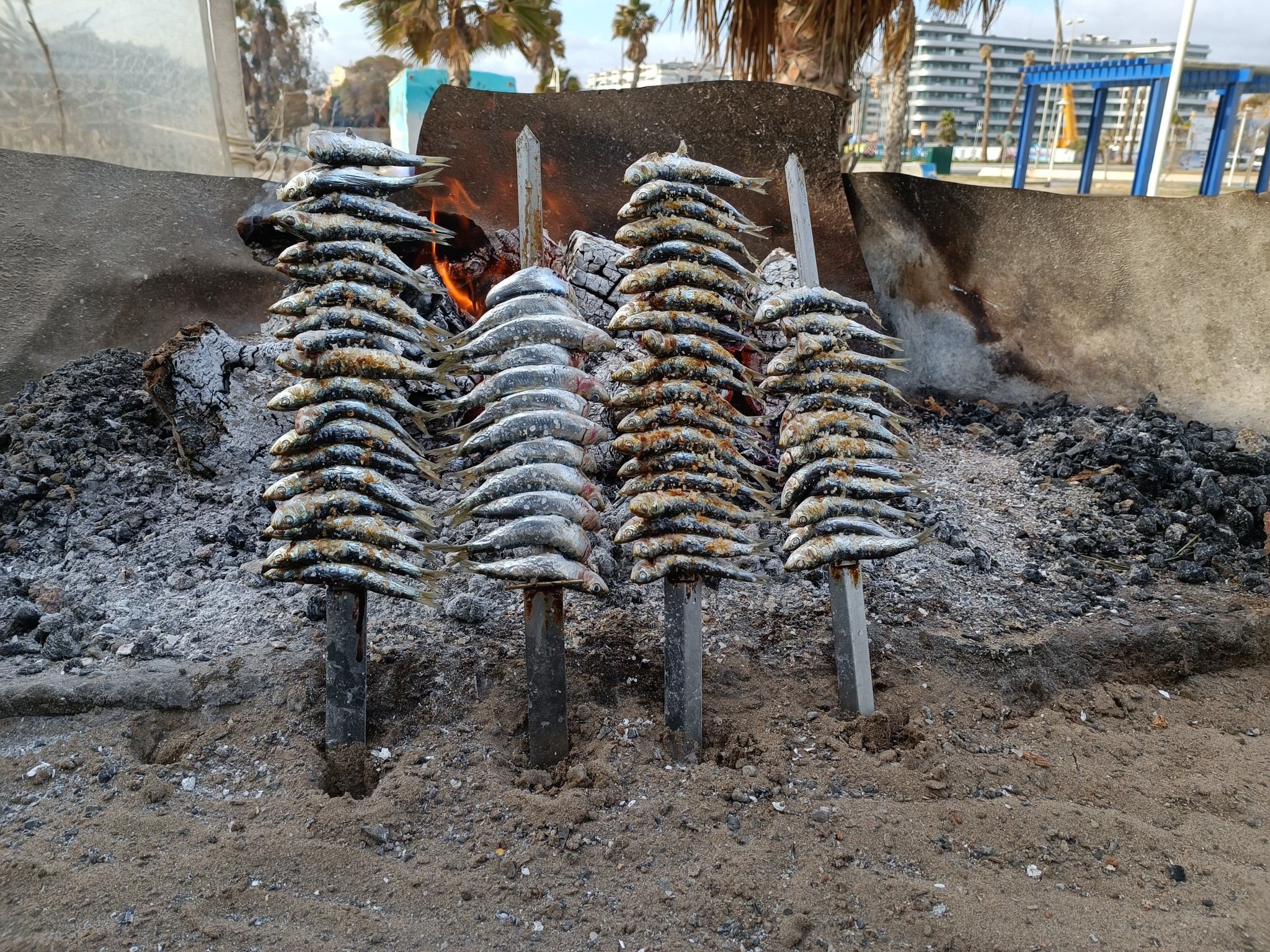 Vicen Playa | Macarfi